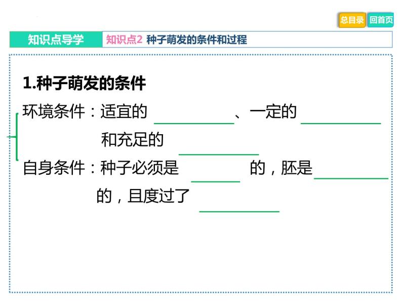 中考生物二轮复习重难点突破精讲课件专题03 绿色开花植物的一生 含答案 教习网课件下载