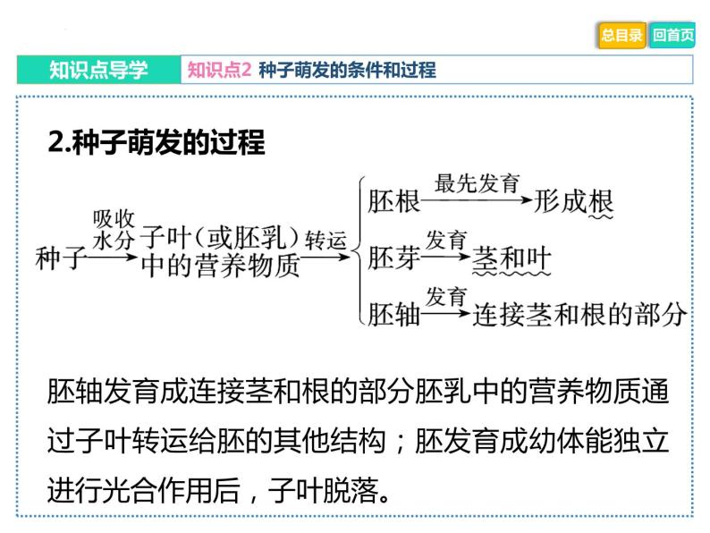中考生物二轮复习重难点突破精讲课件专题03 绿色开花植物的一生 含答案 教习网课件下载