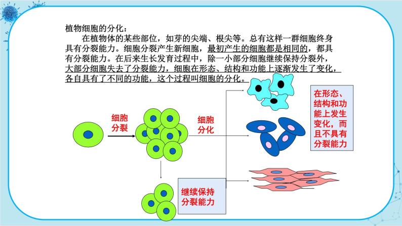 冀少版七年级上册第二节 细胞分化形成组织完整版课件ppt 教习网课件下载