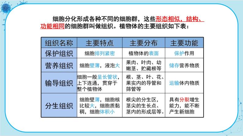 冀少版七年级上册第二节 细胞分化形成组织完整版课件ppt 教习网课件下载