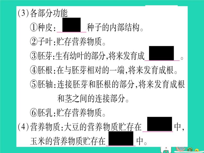 初中生物中考复习 中考生物总复习七上第3单元第6章绿色开花植物的生活史第7章绿色植物与生物圈课件 教习网试卷下载