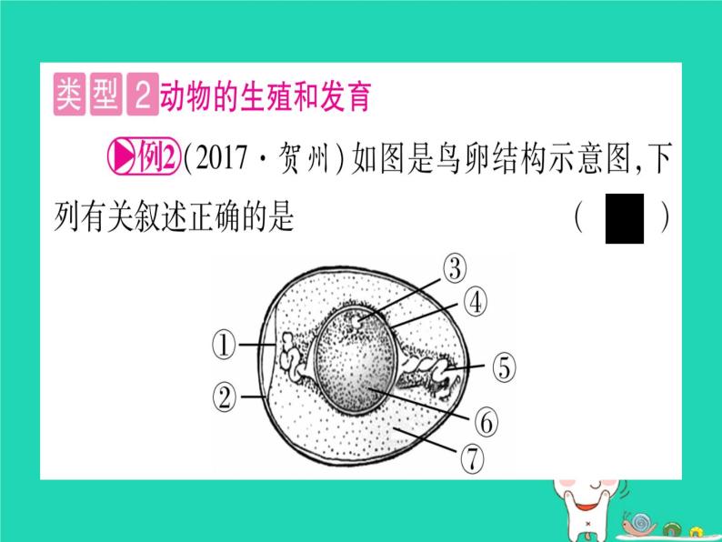 初中生物中考复习 中考生物总复习第二篇知能综合突破专题5生物的生殖发育和遗传课件 教习网课件下载