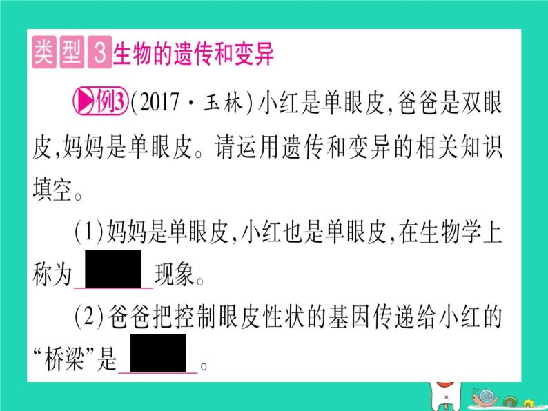 初中生物中考复习 中考生物总复习第二篇知能综合突破专题5生物的生殖发育和遗传课件 教习网课件下载