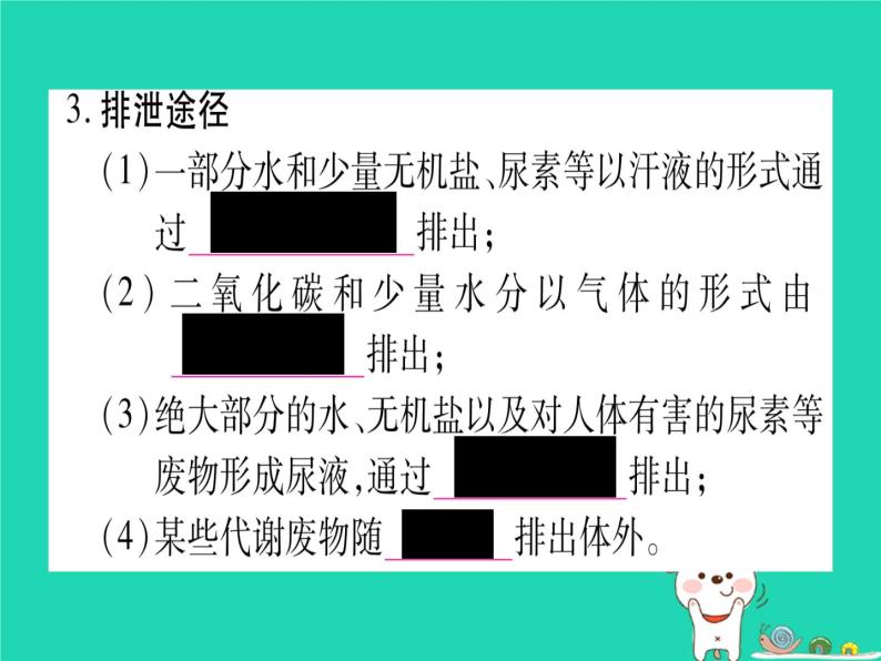 初中生物中考复习 中考生物总复习七下第4单元第11章人体代谢废物的排出课件 教习网课件下载