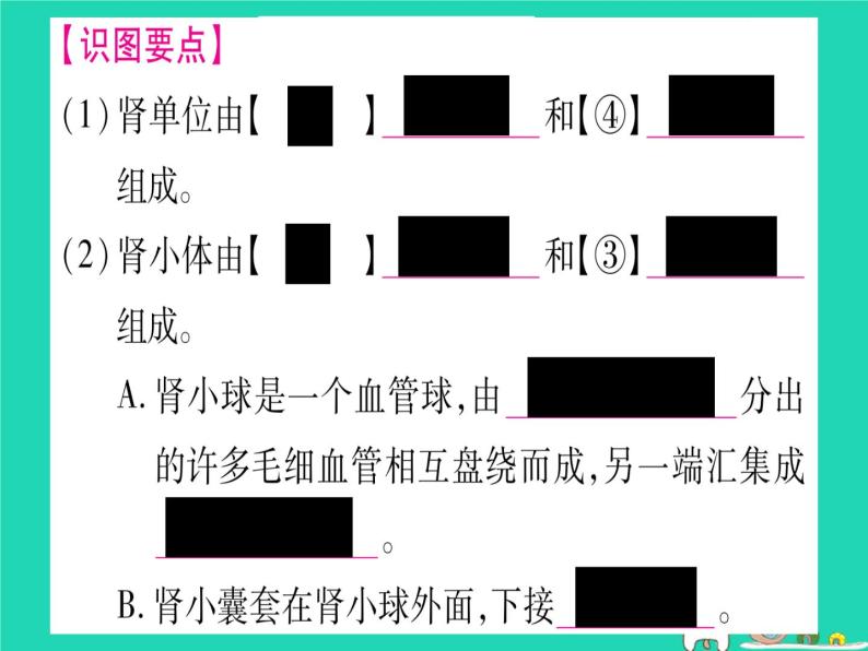 初中生物中考复习 中考生物总复习七下第4单元第11章人体代谢废物的排出课件 教习网课件下载