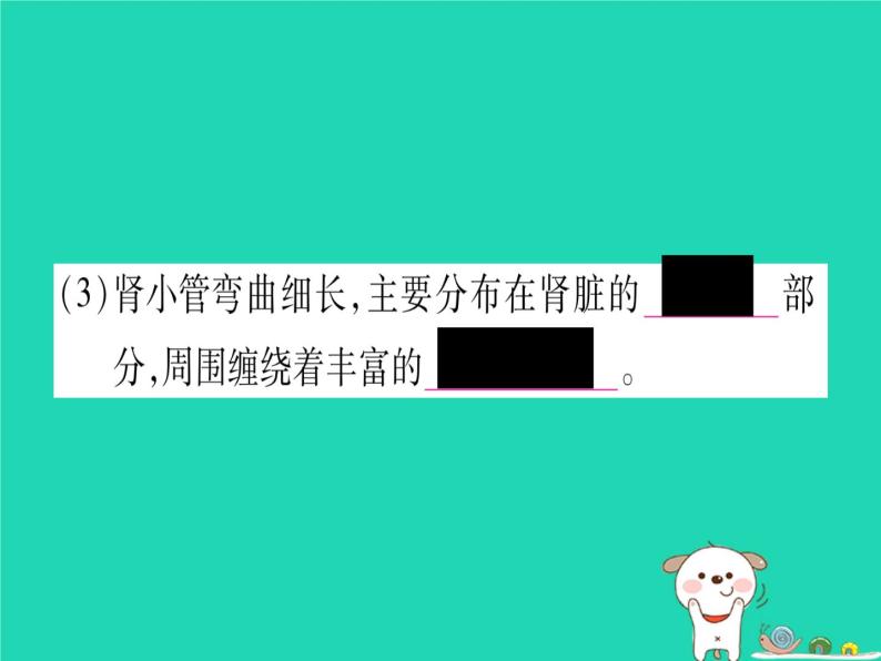 初中生物中考复习 中考生物总复习七下第4单元第11章人体代谢废物的排出课件 教习网课件下载