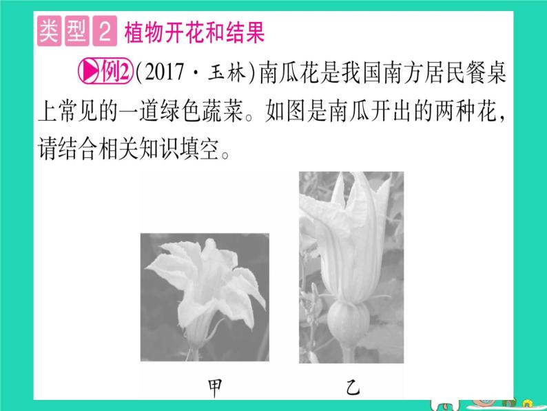 初中生物中考复习 中考生物总复习第二篇知能综合突破专题2生物圈中的绿色植物课件 教习网课件下载
