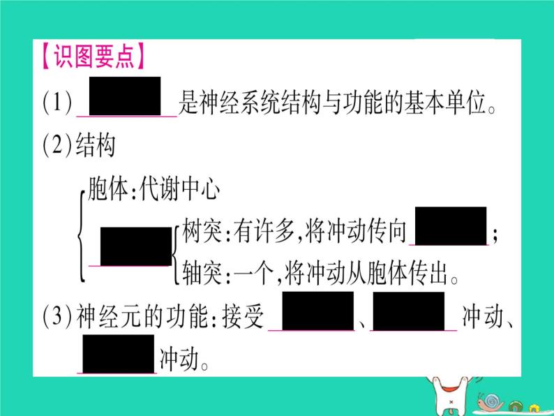 初中生物中考复习 中考生物总复习七下第4单元第12章人体的自我调节课件 教习网课件下载
