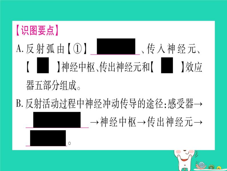 初中生物中考复习 中考生物总复习七下第4单元第12章人体的自我调节课件 教习网课件下载