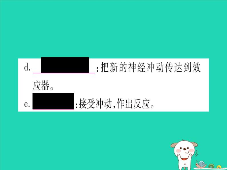 初中生物中考复习 中考生物总复习七下第4单元第12章人体的自我调节课件 教习网课件下载