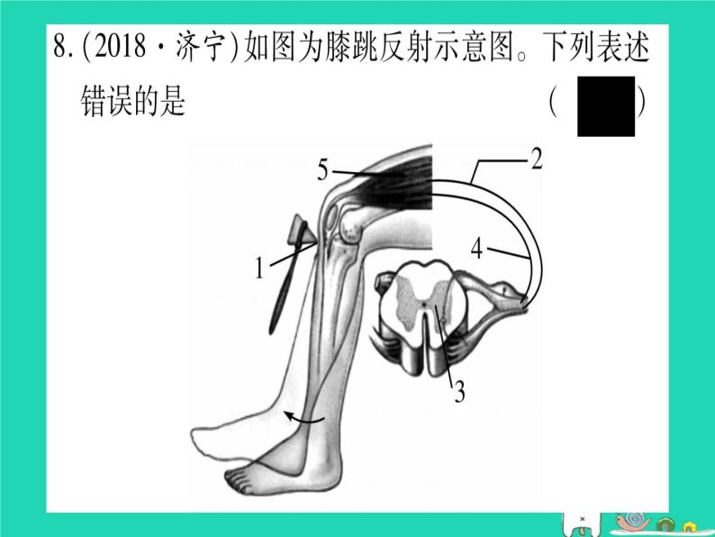 初中生物中考复习 中考生物总复习七下第4单元第12章人体的自我调节习题课件 教习网课件下载