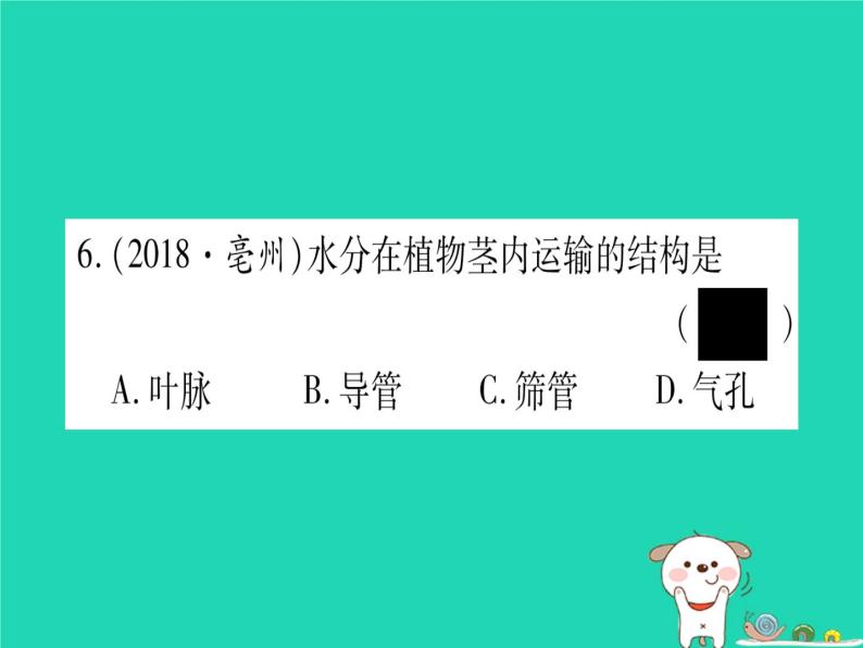 初中生物中考复习 中考生物总复习七上第3单元第5章绿色开花植物的生活方式习题课件 教习网课件下载