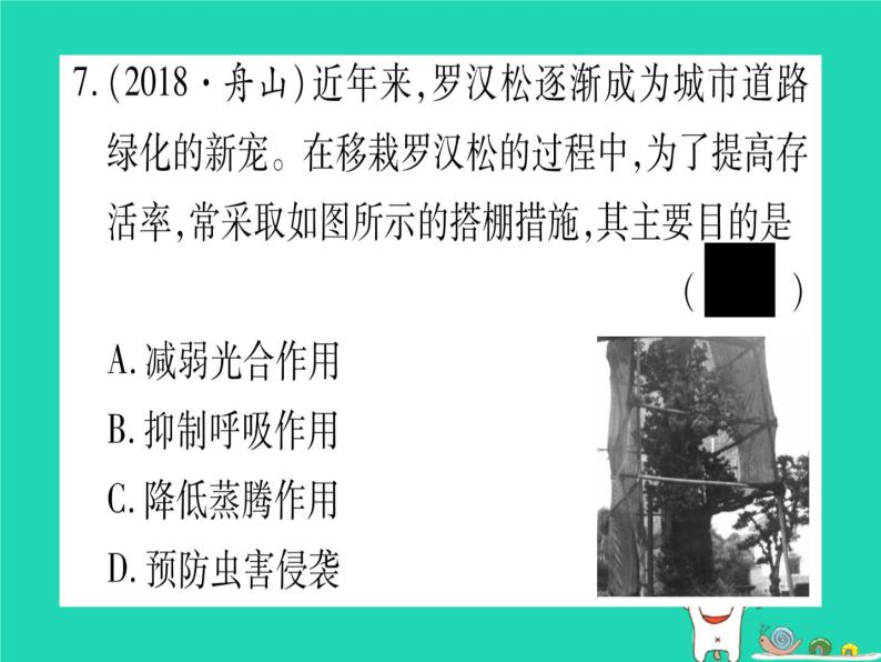 初中生物中考复习 中考生物总复习七上第3单元第5章绿色开花植物的生活方式习题课件 教习网课件下载