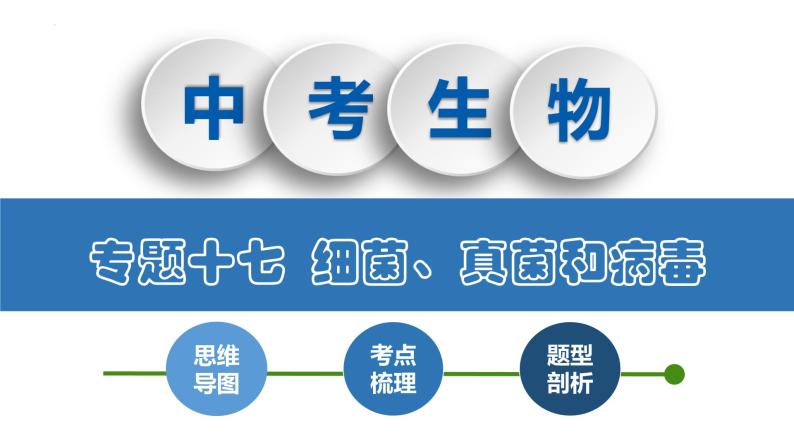 专题17细菌、真菌和病毒 【专题复习】课件ppt 教习网课件下载