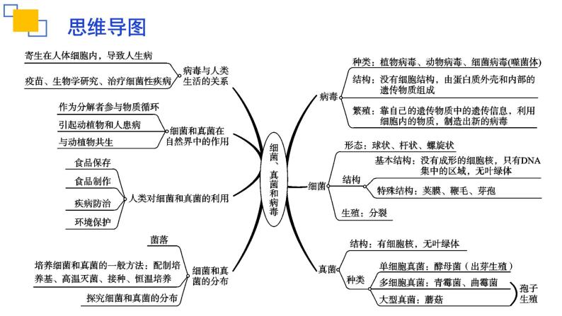 专题17细菌、真菌和病毒 【专题复习】课件ppt 教习网课件下载
