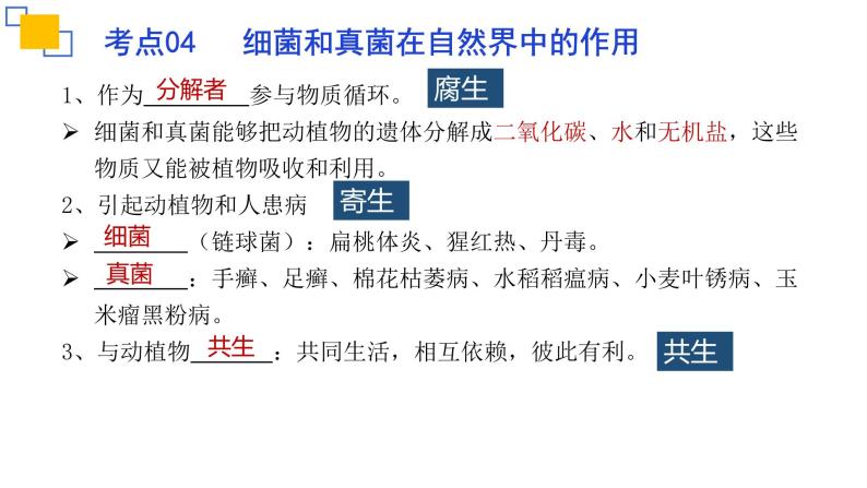 专题17细菌、真菌和病毒 【专题复习】课件ppt 教习网课件下载
