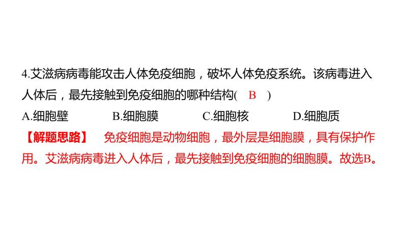 中考生物专题复习 专题二 生物体的结构层次课件ppt 教习网课件下载