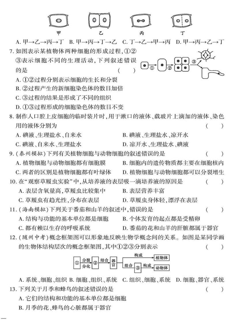 (2023秋)(初中)七年级上册 苏教版生物 第二单元 第三~四章测试题 教习网试卷下载