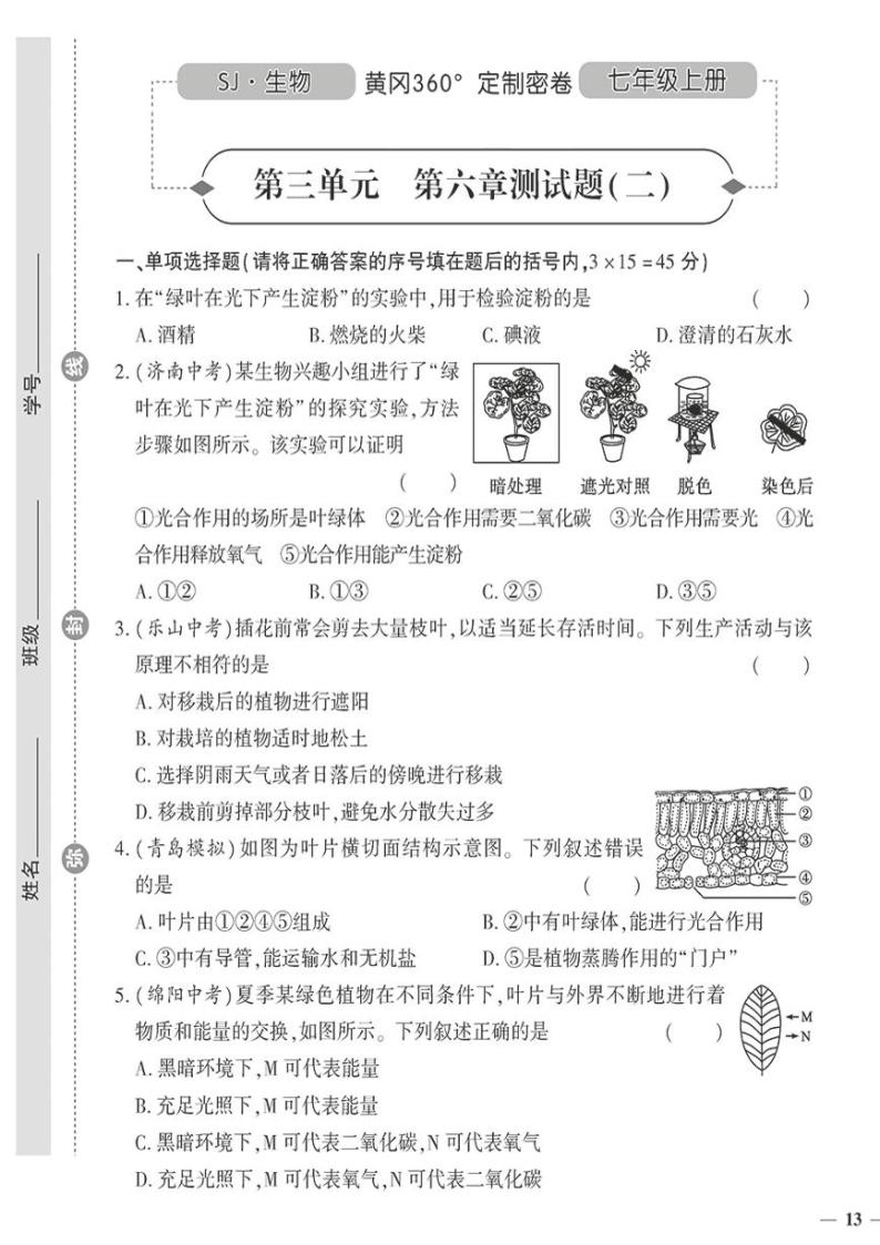 (2023秋)(初中)七年级上册 苏教版生物 第三单元 第六章测试题(二) 教习网试卷下载