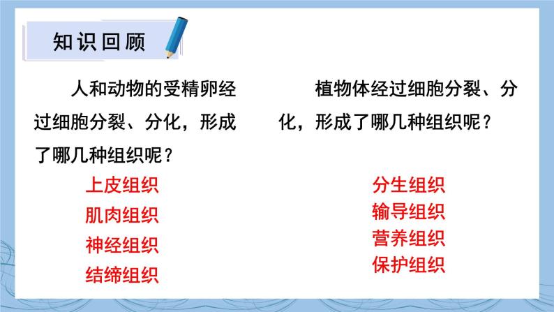 北师大版七年级上册第2节 生物体的器官、系统课文配套ppt课件 教习网课件下载