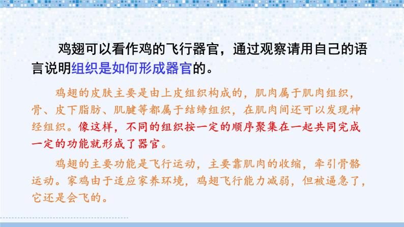 北师大版七年级上册第2节 生物体的器官、系统课文配套ppt课件 教习网课件下载
