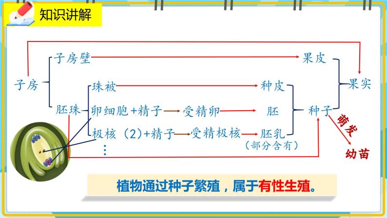 初中生物北师大版八年级上册第3节 植物的生殖方式精品ppt课件 教习网课件下载