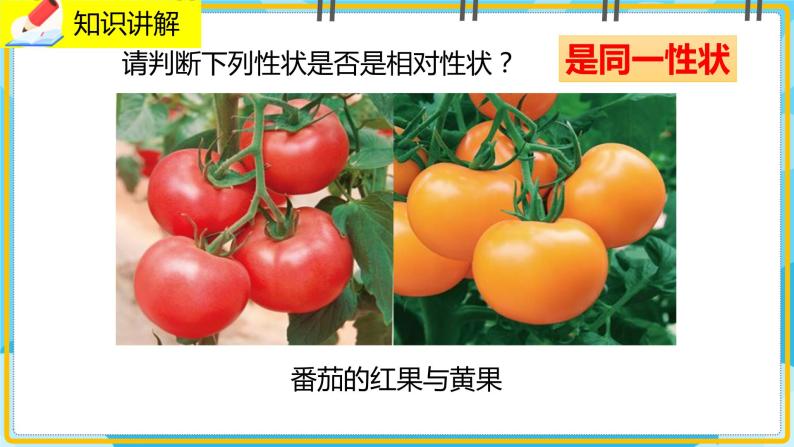 初中生物北师大版八年级上册第1节 遗传和变异现象优质ppt课件 教习网课件下载