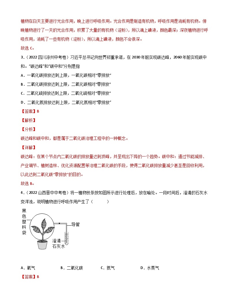 专题04 绿色植物的蒸腾、光合呼吸作用 中考生物真题分项汇编(全国通用)(第2期) 教习网试卷下载