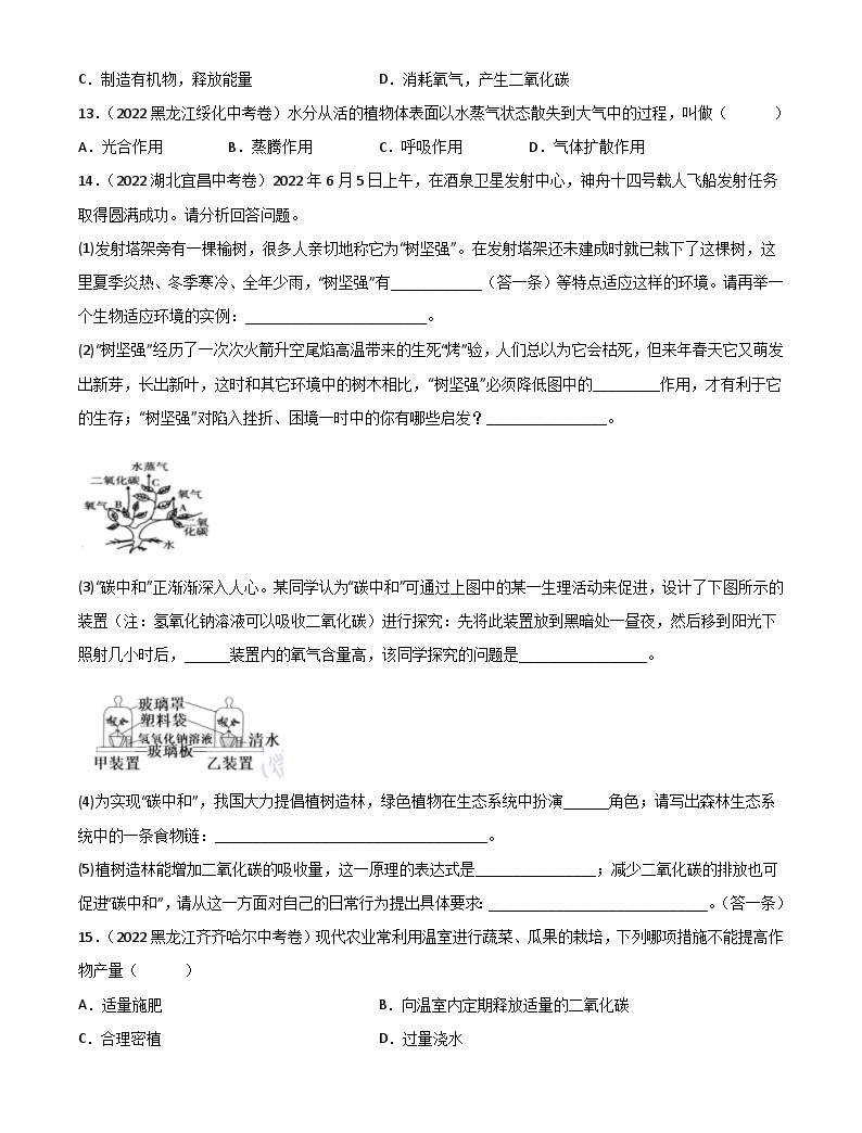 专题04 绿色植物的蒸腾、光合呼吸作用 中考生物真题分项汇编（全国通用）（第2期） 教习网试卷下载