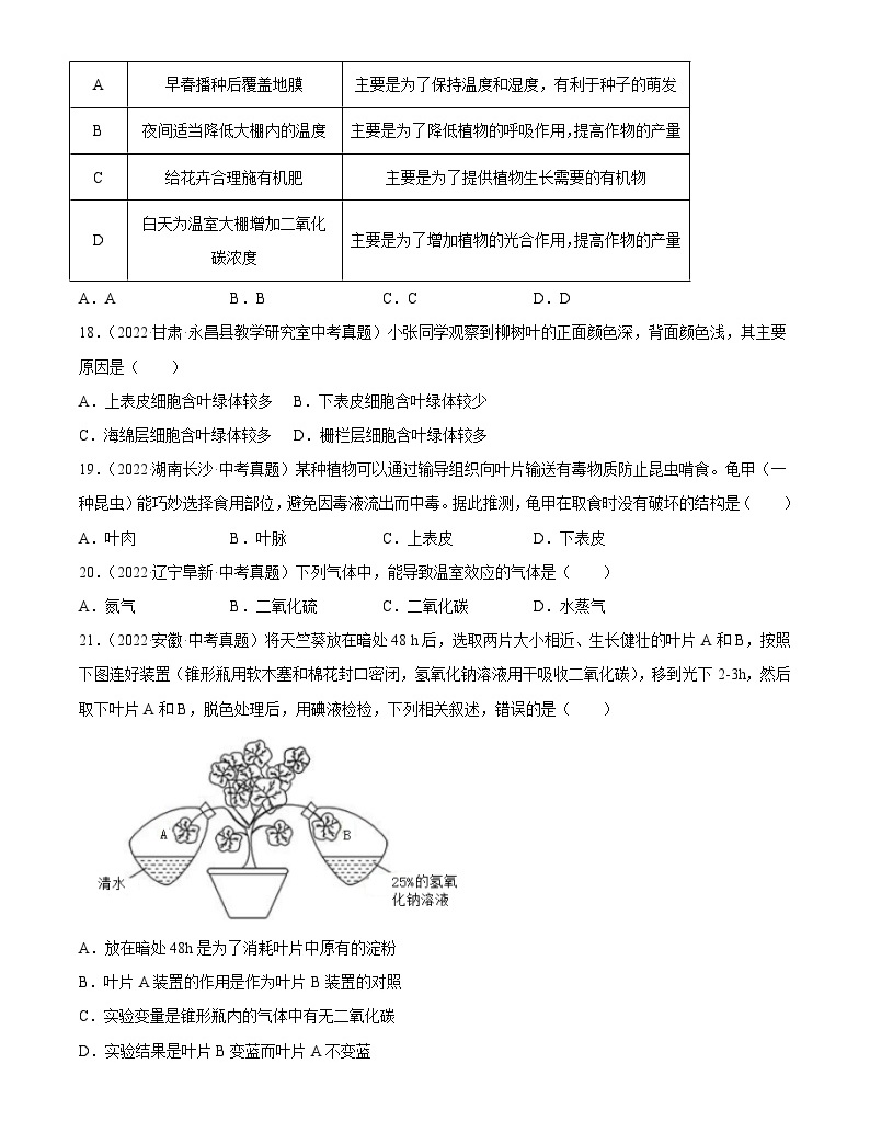 专题04 绿色植物的蒸腾作用、光合作用和呼吸作用 中考生物真题分项汇编（全国通用）（第4期） 教习网试卷下载