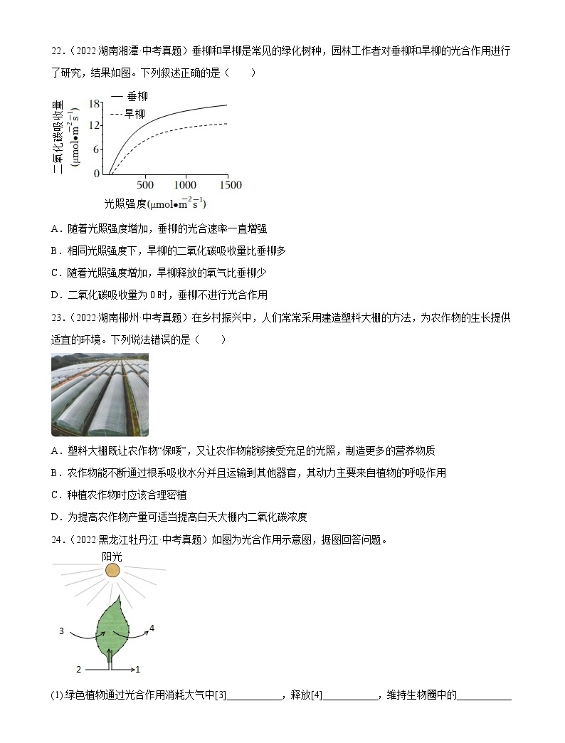 专题04 绿色植物的蒸腾作用、光合作用和呼吸作用 中考生物真题分项汇编（全国通用）（第4期） 教习网试卷下载