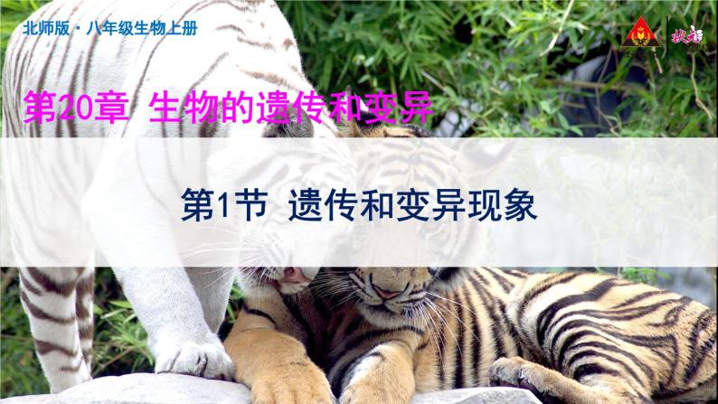 北师大版八年级上册第1节 遗传和变异现象授课课件ppt 教习网课件下载