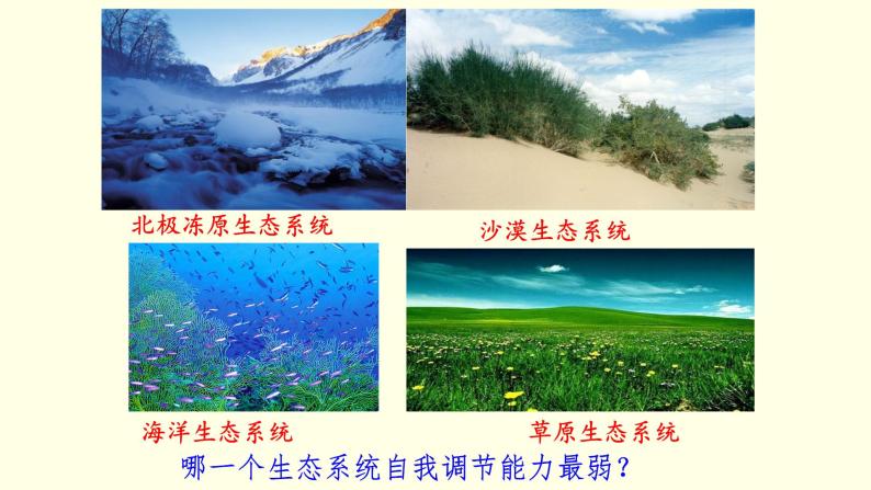 生物八年级上册第6单元 生命活动的调节和生态系统的稳定第18章 生态系统的稳定3 生态系统的自我调节优质ppt课件 教习网课件下载