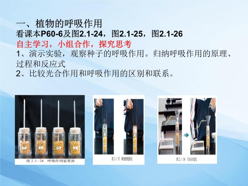 济南版七年级上册第四节 绿色植物的呼吸作用教课课件ppt 教习网课件下载