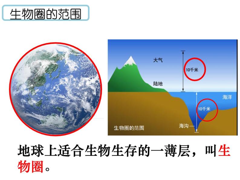 初中生物人教版 新课标七年级上册第三节 生物圈是最大的生态系统教课课件ppt 教习网课件下载