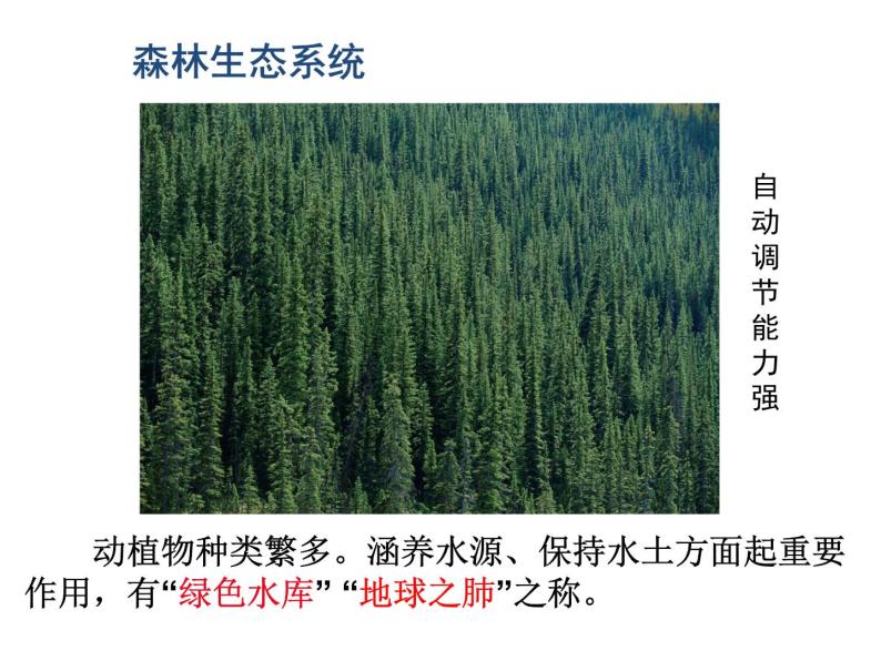 初中生物人教版 新课标七年级上册第三节 生物圈是最大的生态系统教课课件ppt 教习网课件下载
