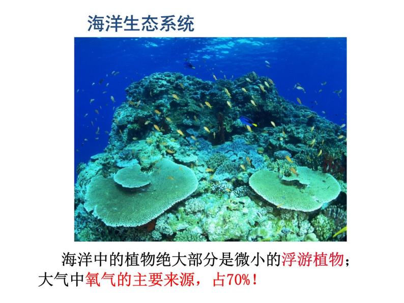 初中生物人教版 新课标七年级上册第三节 生物圈是最大的生态系统教课课件ppt 教习网课件下载
