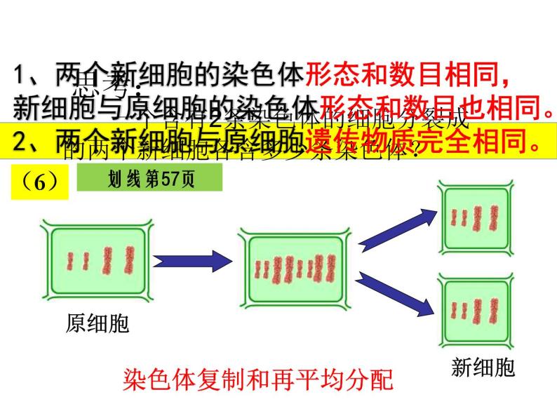 初中生物人教版 新课标七年级上册第二单元 生物体的结构层次第二章 细胞怎样构成生物体第一节 细胞通过分裂产生新细胞备课ppt课件 教习网课件下载