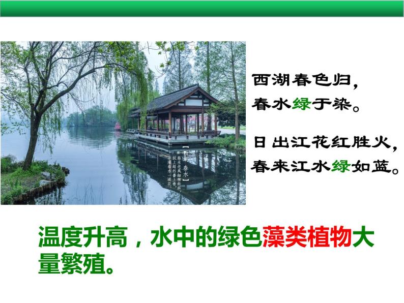 初中生物人教版 新课标七年级上册第一节 藻类、苔藓和蕨类植物教学课件ppt 教习网课件下载