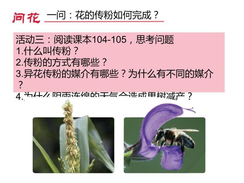 初中生物人教版 新课标七年级上册第三单元 生物圈中的绿色植物第二章 被子植物的一生第三节 开花和结果示范课ppt课件 教习网课件下载