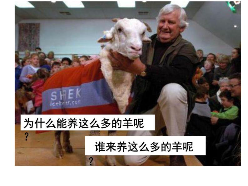 初中历史与社会人教版 人文地理上册第三单元 各具特色的区域生活第四课 草原人家第二框 现代化的牧场图文课件ppt 教习网课件下载
