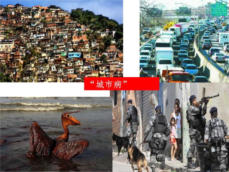 人教版 人文地理上册第五框 城市规划的典范：巴西利亚图片ppt课件 教习网课件下载