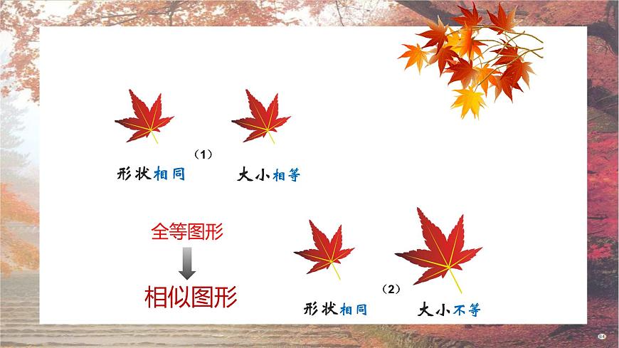 初中浙教版第4章 相似三角形4.3 相似三角形图片ppt课件-课件下载-教习网