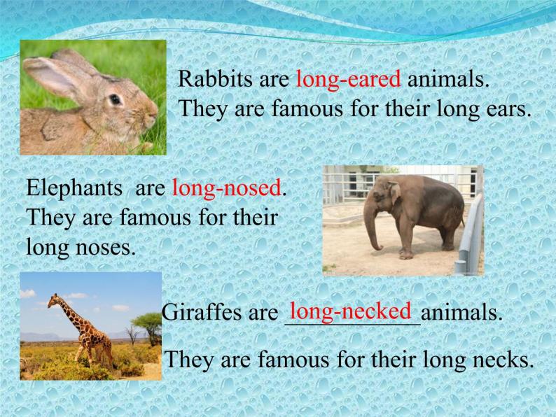 冀教版（三起）英语八年级下册 lesson 14 Amazing animals（课件）-教习网|课件下载