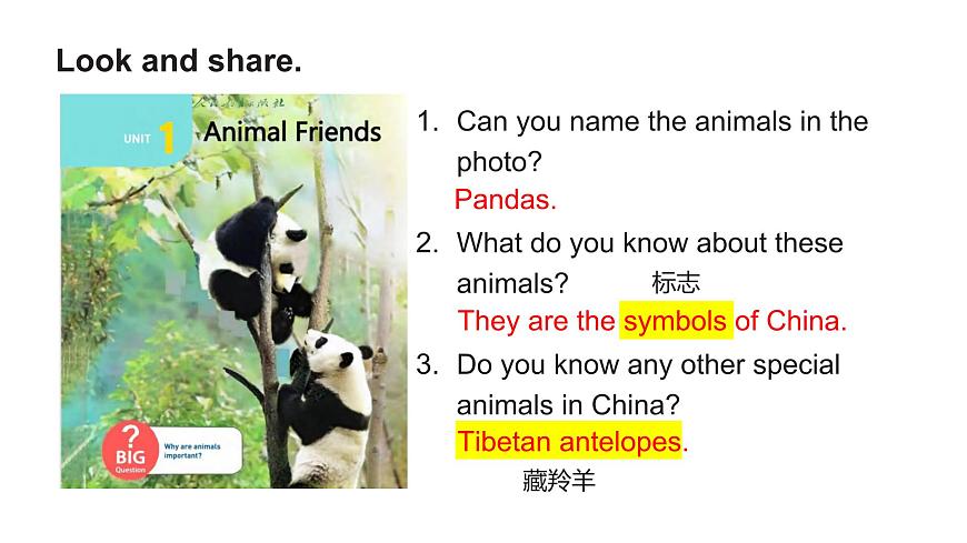 初中人教版（2024）Unit 1 Animal friends优秀ppt课件-课件下载-教习网