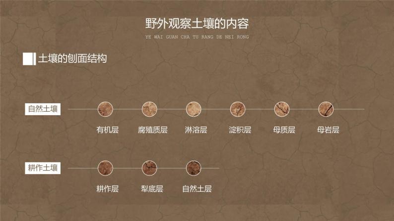 人教版 2019必修 第一册第二节 土壤优秀ppt课件 教习网课件下载