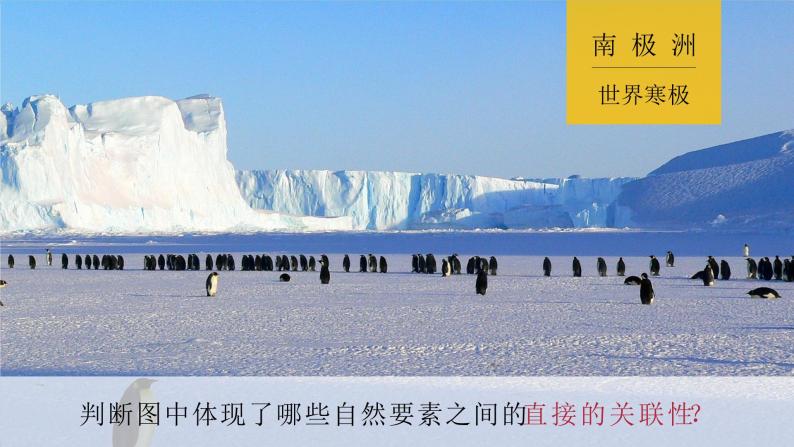 高中地理第一节 自然地理环境的整体性背景图ppt课件 教习网课件下载