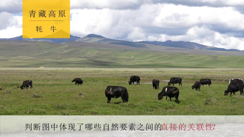 高中地理第一节 自然地理环境的整体性背景图ppt课件 教习网课件下载