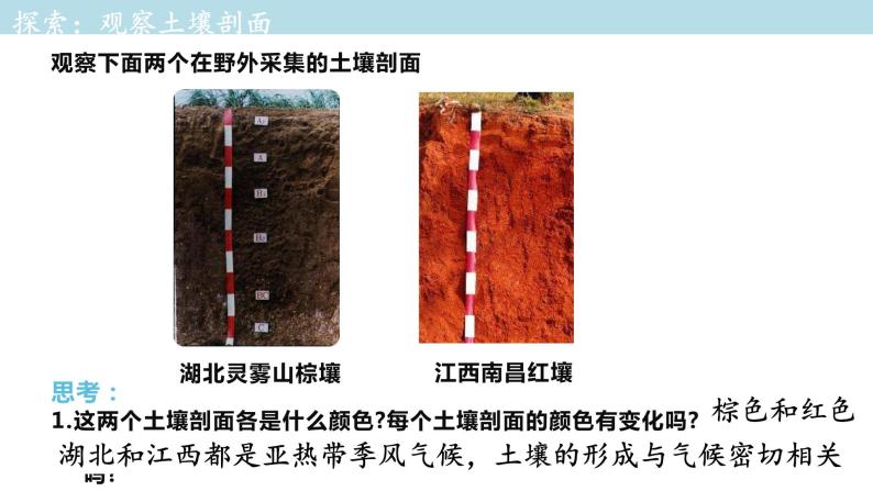 高中中图版 2019第二单元 自然地理要素及现象第六节 土壤的主要形成因素教课ppt课件 教习网课件下载