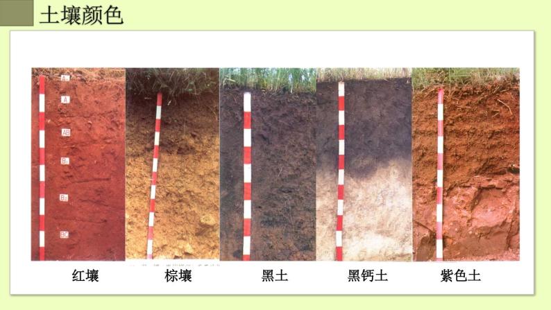 高中地理人教版 2019必修 第一册第二节 土壤课文课件ppt 教习网课件下载